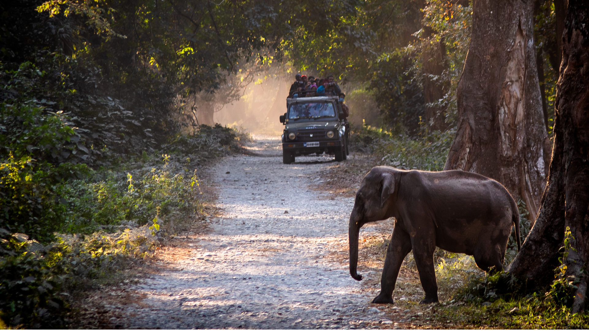 Remove Distractions with Lightroom Classic's Remove Tool